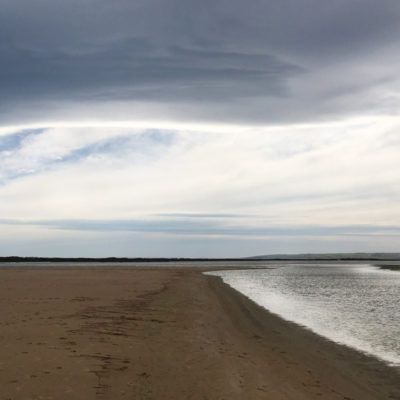 Colin Thiele's Storm Boy – Return of a Native
