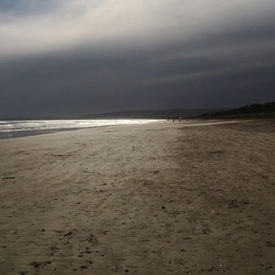 Colin Thiele's Storm Boy – Return of a Native