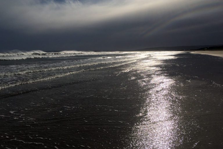 Colin Thiele's Storm Boy – Return of a Native