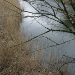 Winter, Ali Smith – Return of a Native