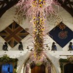 Winter, Ali Smith – Return of a Native