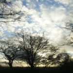 Winter, Ali Smith – Return of a Native